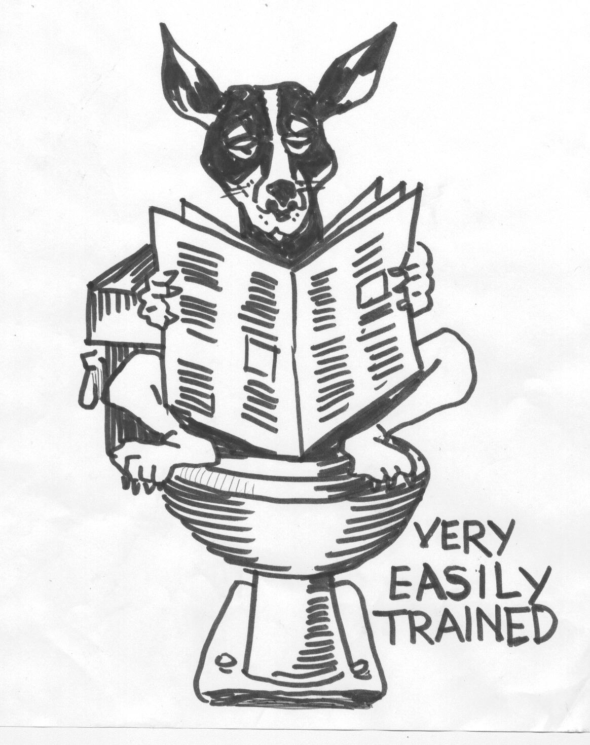 People of Fur Tales of the Rat Terrier