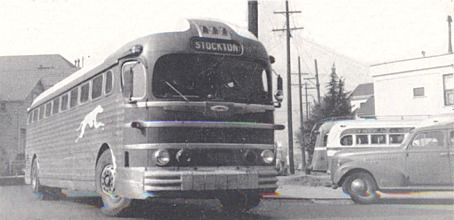 greyhound silversides page pd 3751