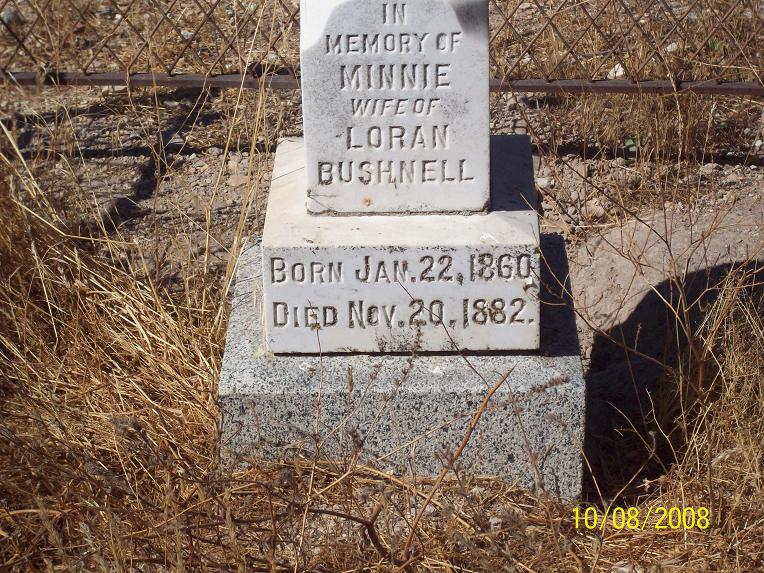 Bushnell Tombstones
