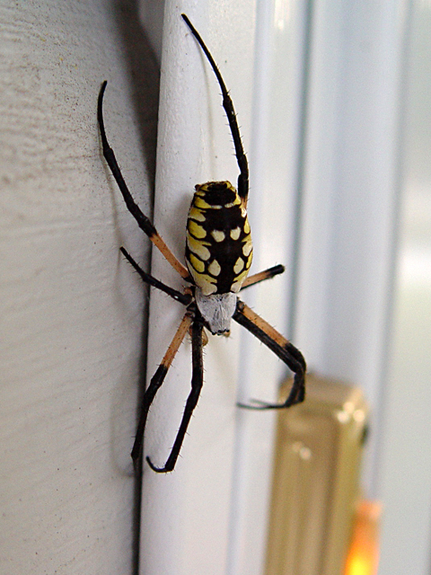 View Full-Size Image