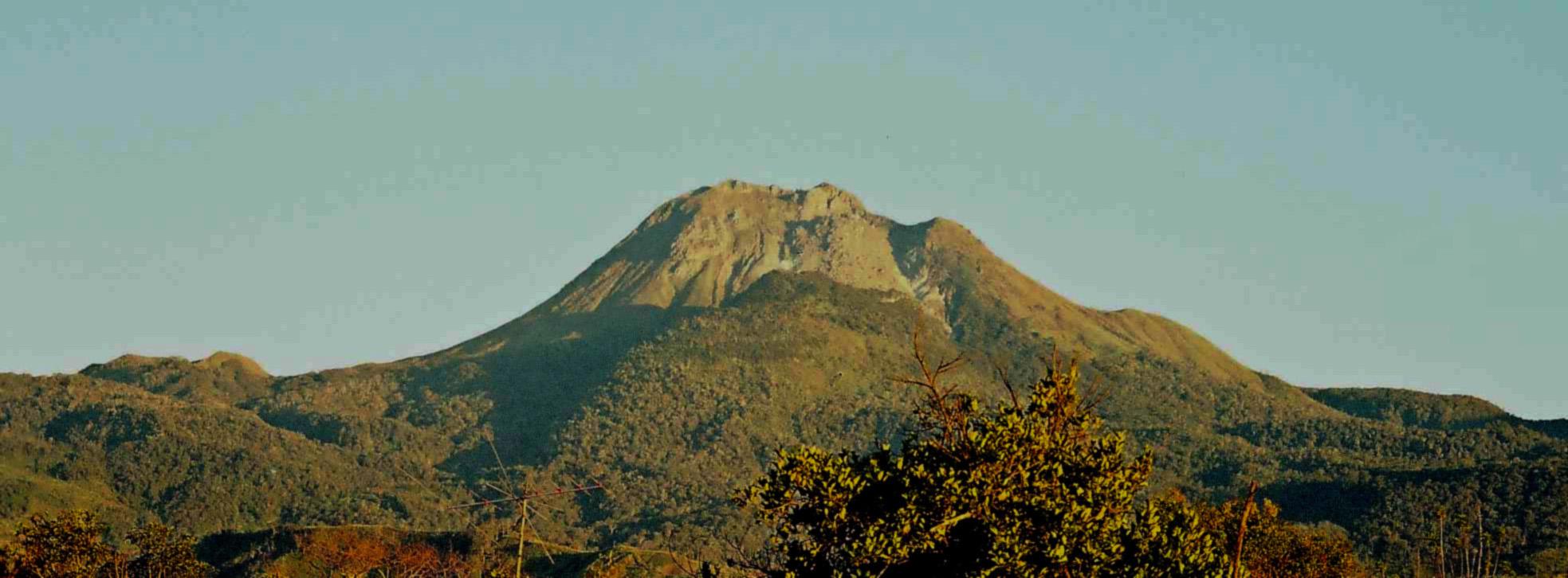 View Full-Size Image