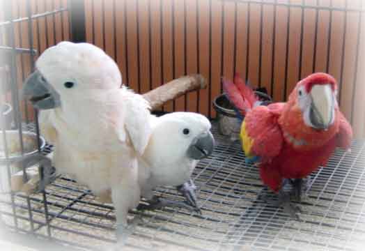 New Page 1 [www.angelfire.com]