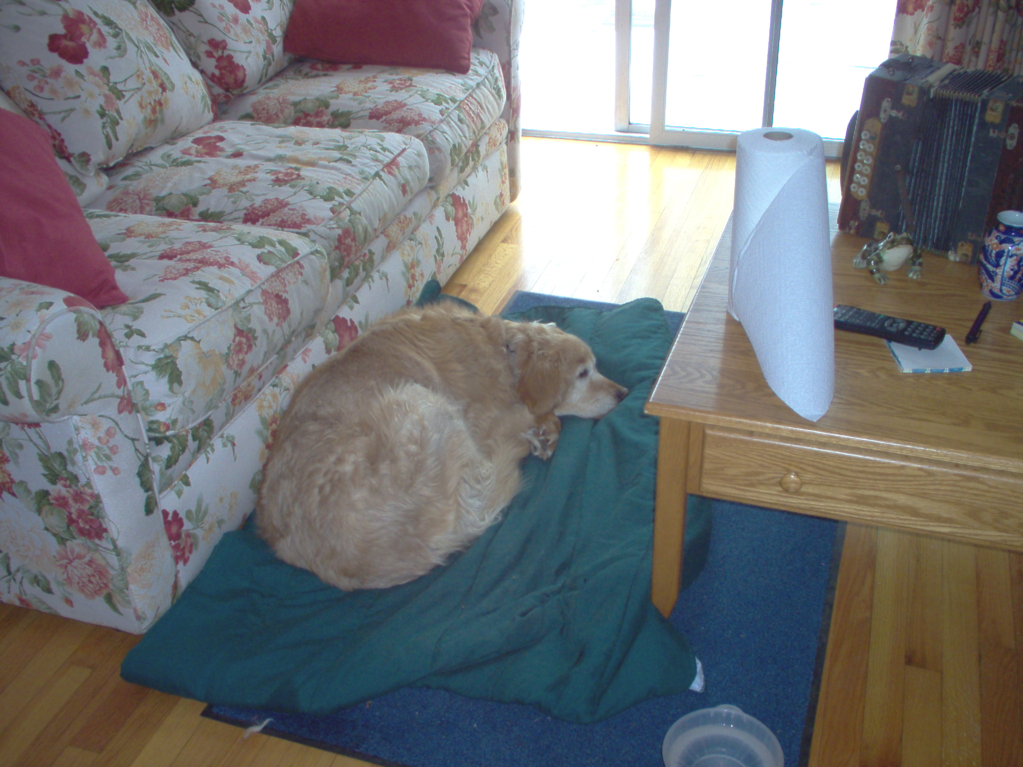 Print Photos | View Full-Size Image