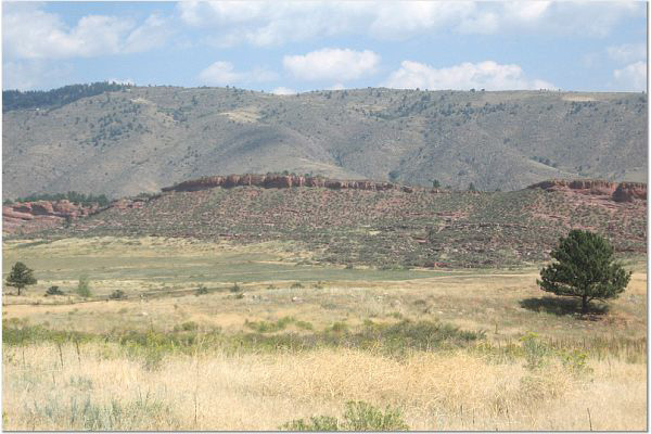 View Full-Size Image