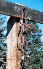 Silver Conchos ~ Designed and Hand Crafted by Sandy Messler