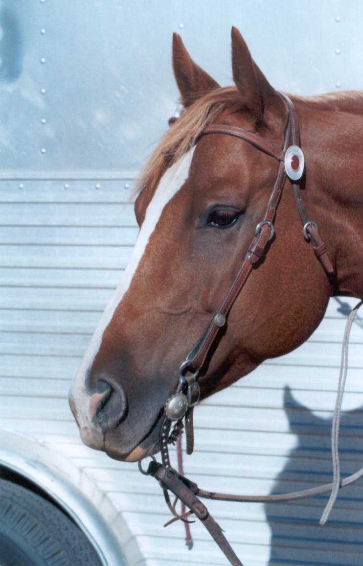 Silver Conchos ~ Designed and Hand Crafted by Sandy Messler