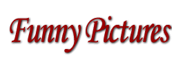 Funny Pictures