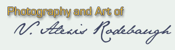 Photography and Art of V. Alexis Rodebaugh