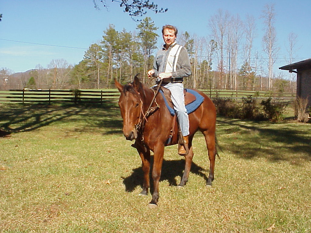 Mr. Connelly's South Carolina History Page