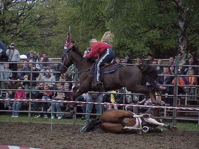 European Rodeo Cowboys Association