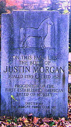 JUSTIN MORGAN THE HORSE