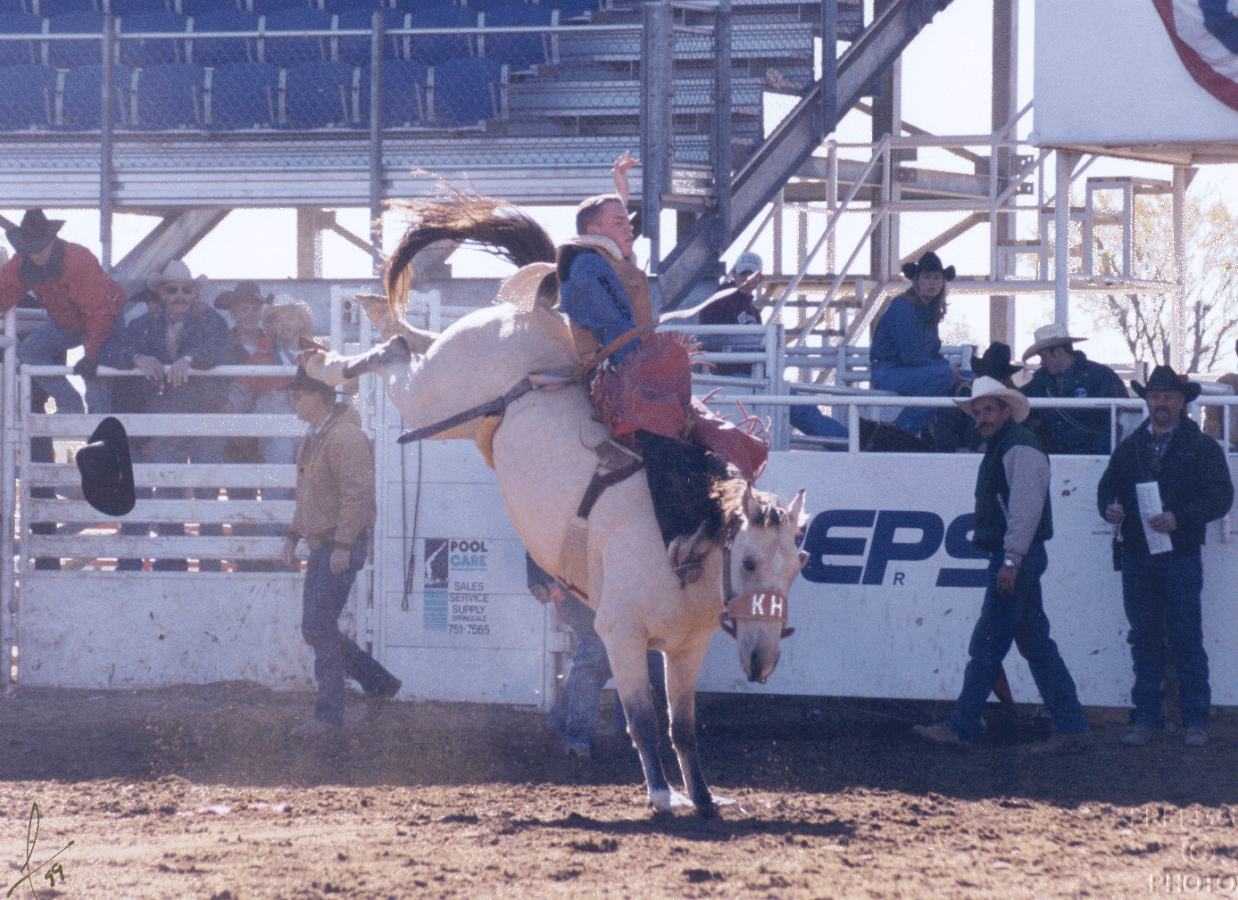 My Rodeo Pics