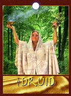 Welcome to the Druids Grove!