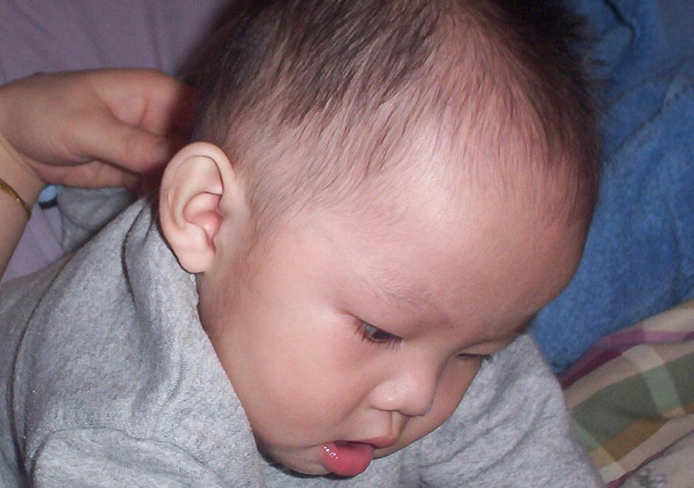 View Full-Size Image