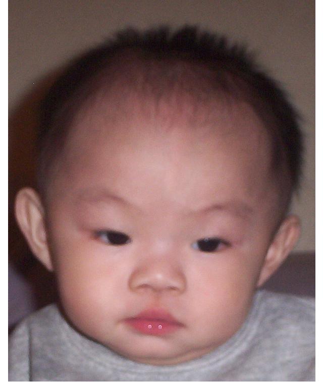 View Full-Size Image