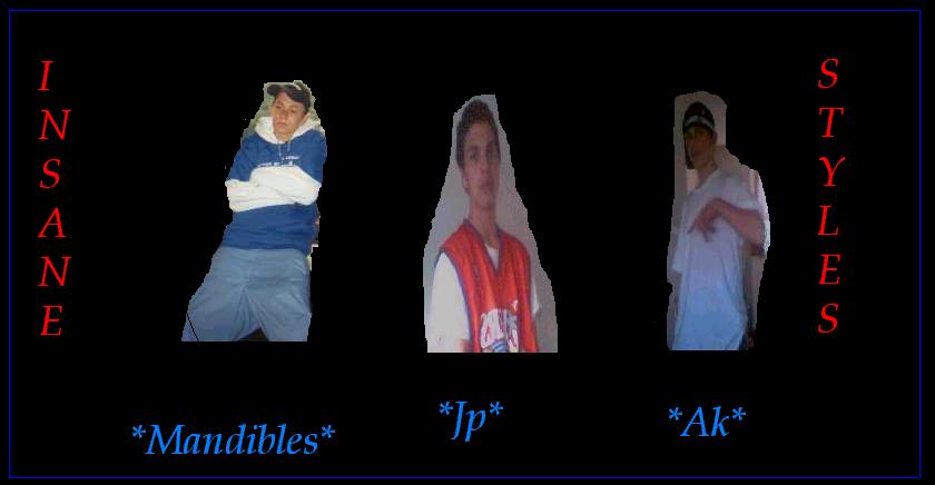 InSaNe STyLeS