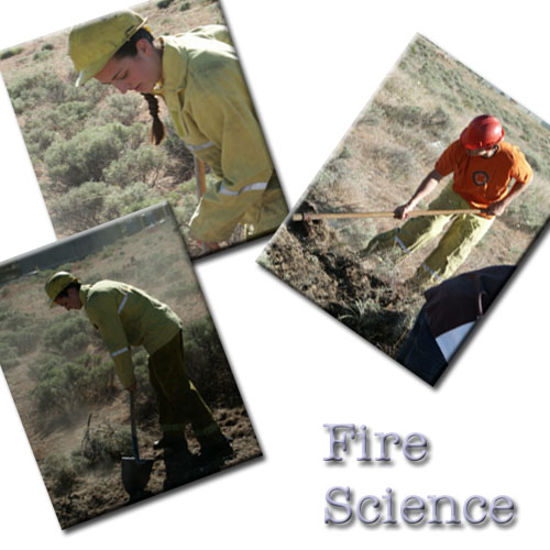 Untitled Document [www.angelfire.com]