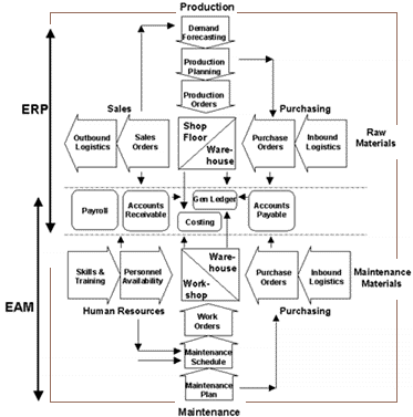 Home of an EAM Consultant