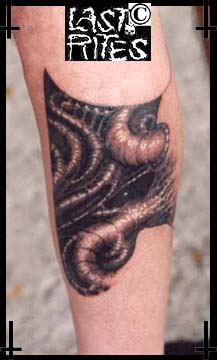 Paul Booth Dragon Tattoos