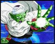 piccolo03.jpg
