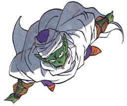 piccolo001.jpg