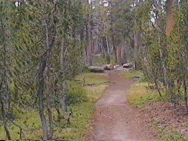 Dinkey Lakes Wilderness, Sierra NF