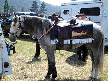 Russian River Rodeo 2007