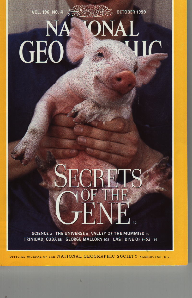 GENE !!!!!!!!!!!!!!!!!!!!!!!!