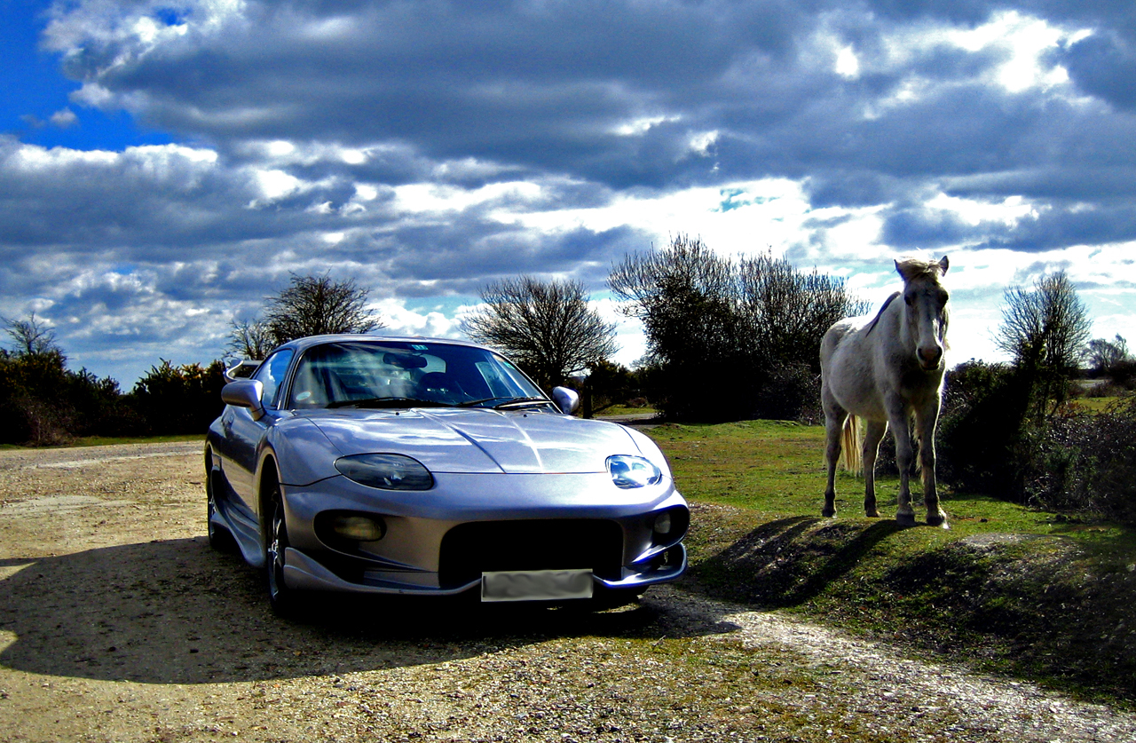 View Full-Size Image