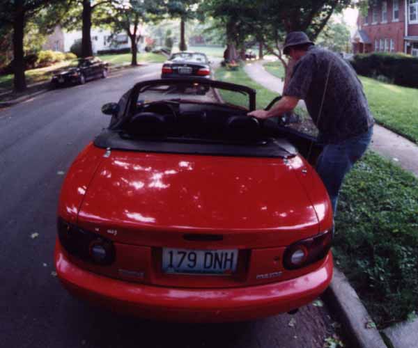 millimeter peter syndrome