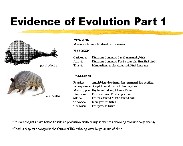 Evidence of Evolution Part 1