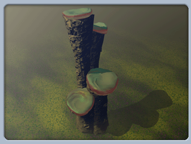 Alien Plants 6 Preview 1