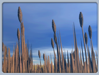 Alien Plants 9 Preview 1