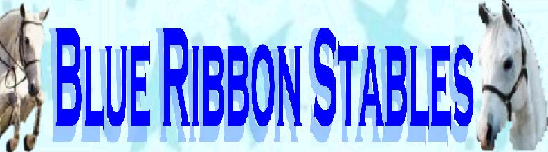 Blue Ribbon Stables