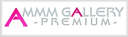 A MMM GALLERY PREMIUM