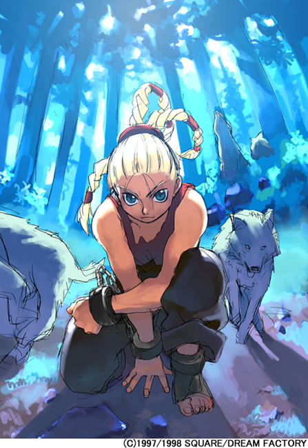 Final Element Image Gallery