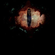 Welcome to the Resident Evil RPG site. The site is currently under ...