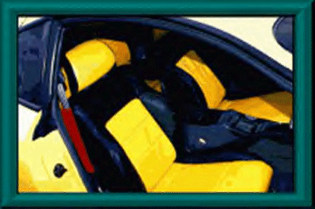 Pictures of the Yellow Beast