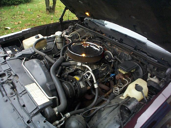 Brian's 1986 Monte Carlo's engine