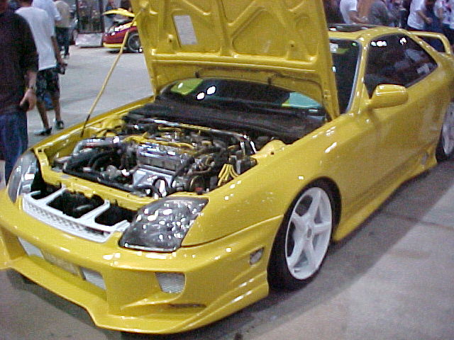 Houston Import Revolution Pics