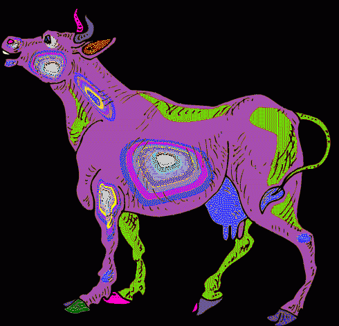 Cow.gif