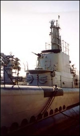 USS Cobia