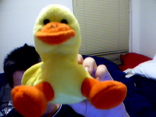 Duck_0001.JPG