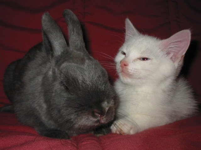 New Page 1 [www.angelfire.com]