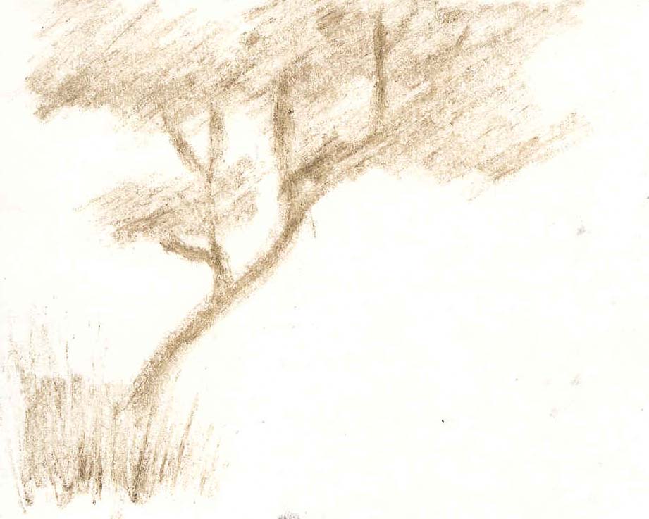 WolfSong Studios - Original art - Tree