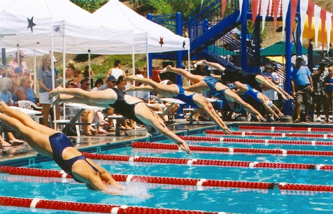 Springbrook Swim Team