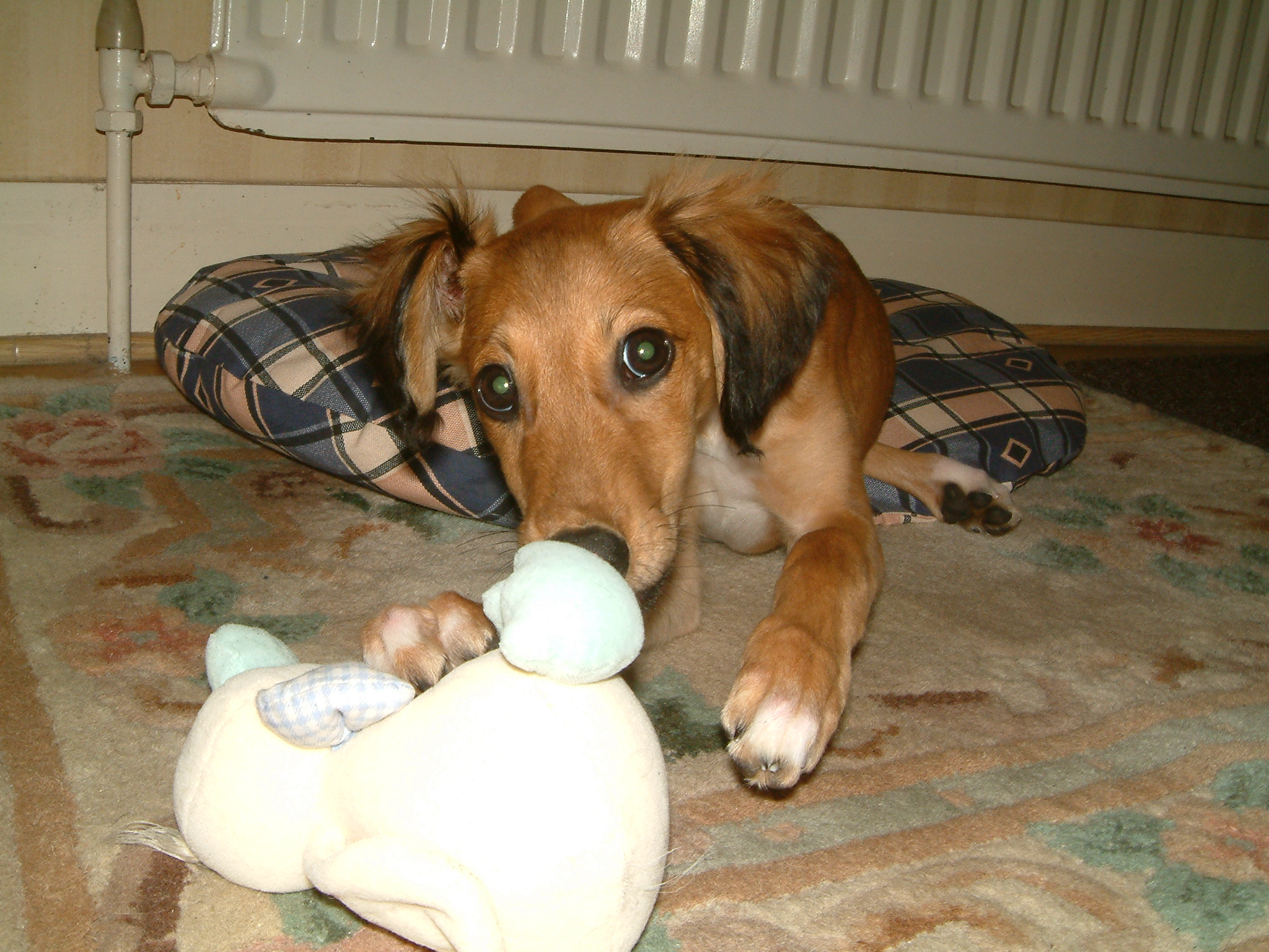 Print Photos | View Full-Size Image