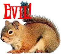 Squirrels: The Spawn of All Things Evil