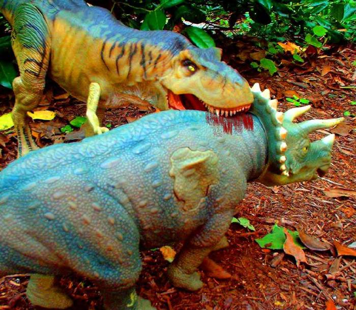 After hours of careful waiting, the moment of truth has arrived. The ...