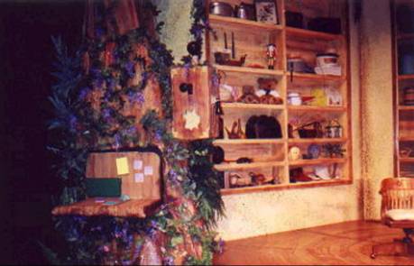 Marci Hedegard - Set Designs